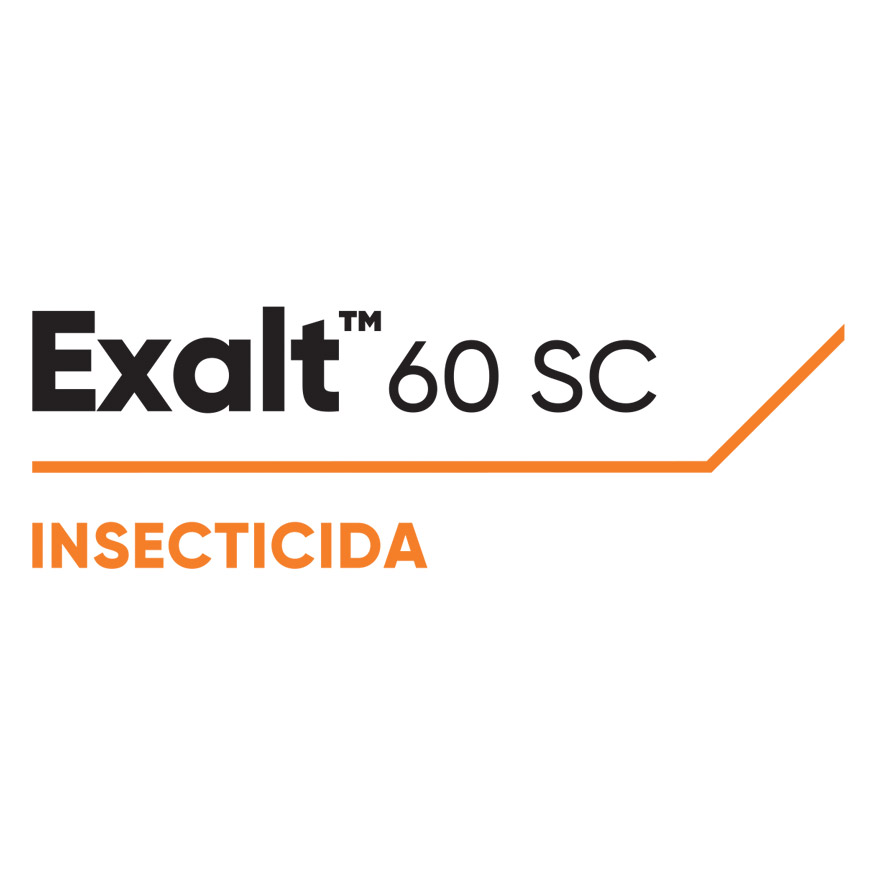 EXALT – DISTRIBUCIONES H y H