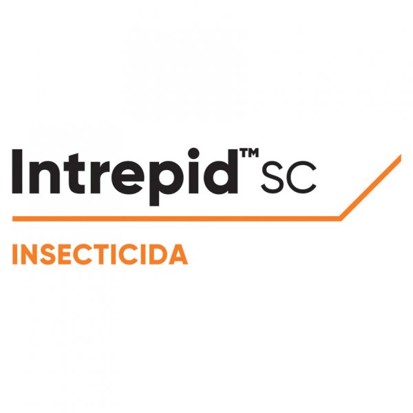 INTREPID – DISTRIBUCIONES H y H